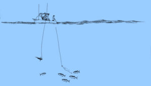 Handline Fishing – Hawaii-Seafood.org