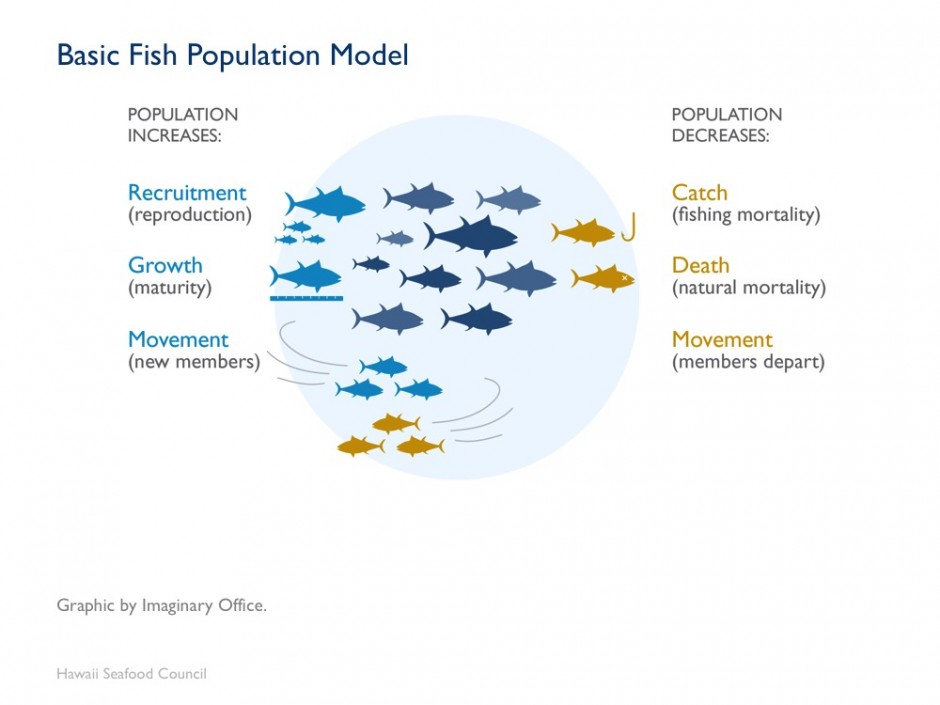 Module 5: Fish Stock Assessment – Hawaii-Seafood.org