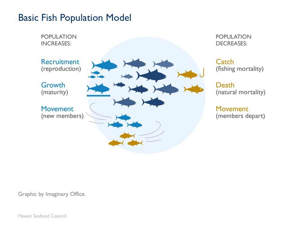 Module 5: Fish Stock Assessment – Hawaii-Seafood.org